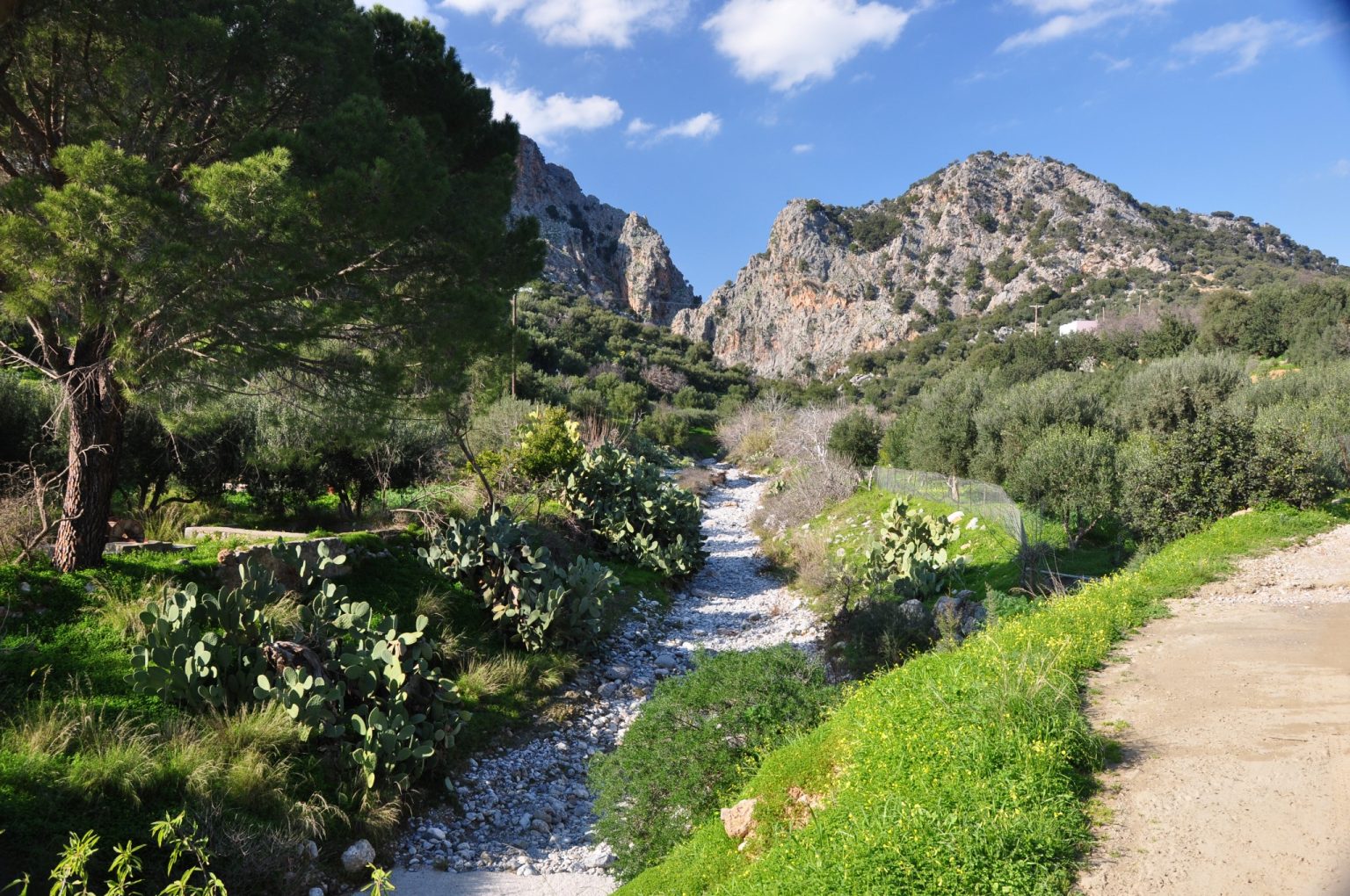 Visit Kritsa | Discover Kritsa Village: A Cultural Gem in Agios ...